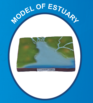 Model Of Estuary | GOKLANI TRADER PRIVATE LIMITED